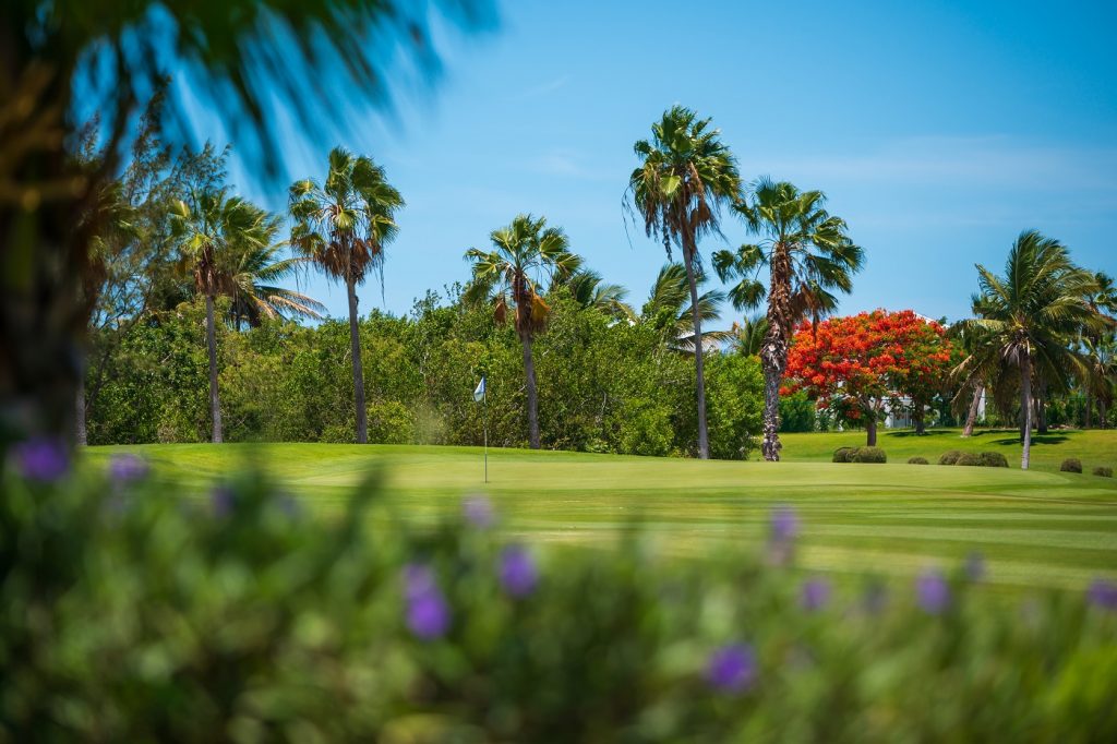 Turks and Caicos Golf - Royal Turks and Caicos Golf Club